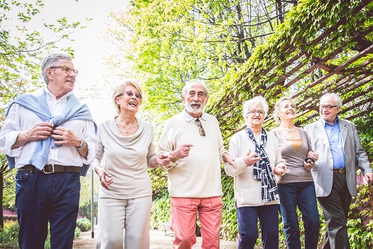 What Can Senior Citizens Get For Free What Can Senior Citizens Get For Free